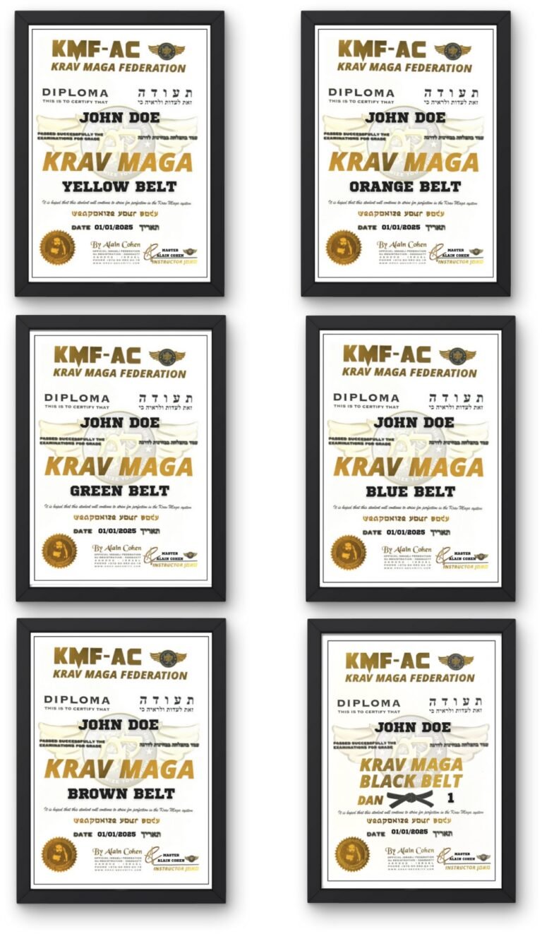 Krav Maga Color Belt Test Certification - Krav Maga Certification, Only ...